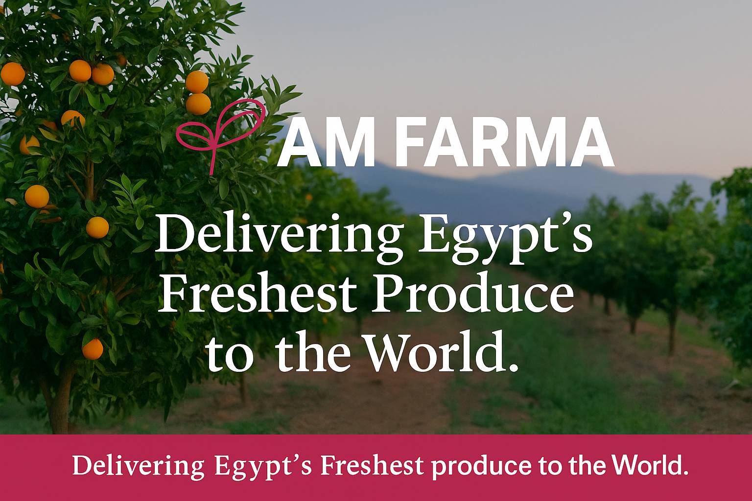 AM FARMA - Delivering Egypt’s Freshest Produce To The World!